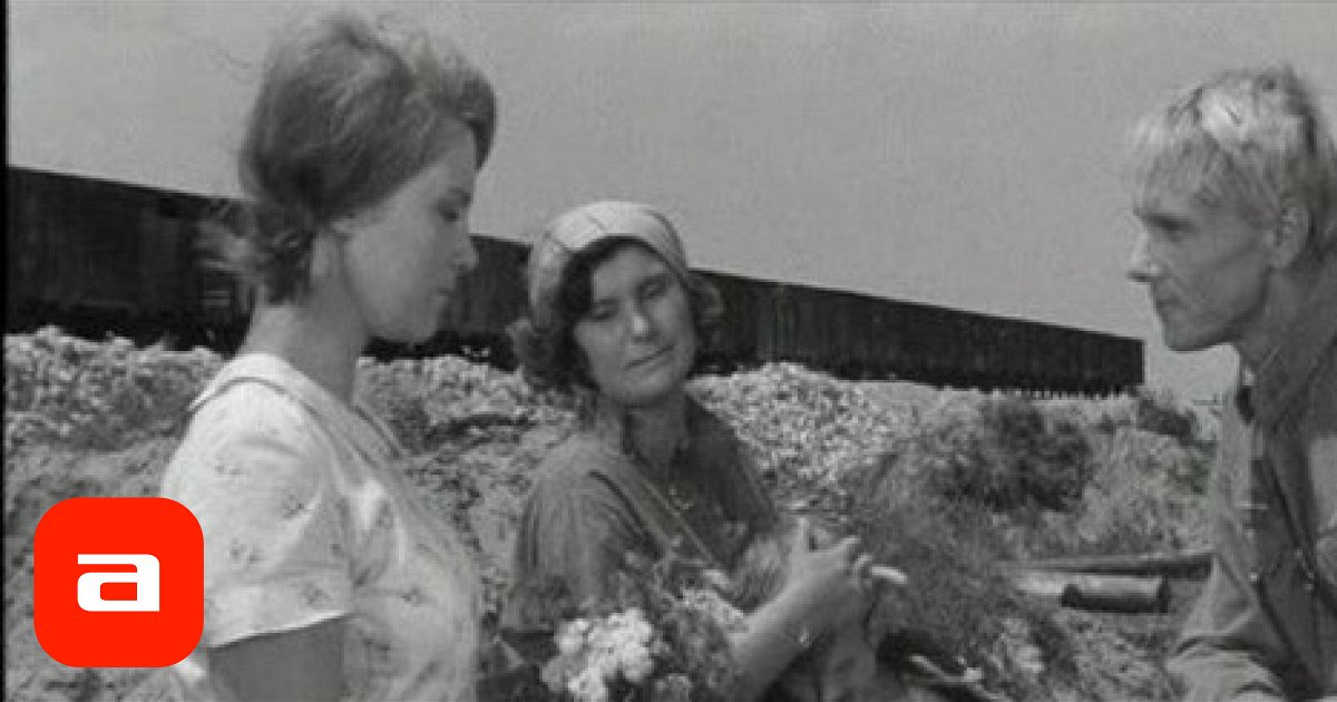 Алла Чернова (Alla Chernova) биография, фильмы, спектакли, фото | Afisha.ru